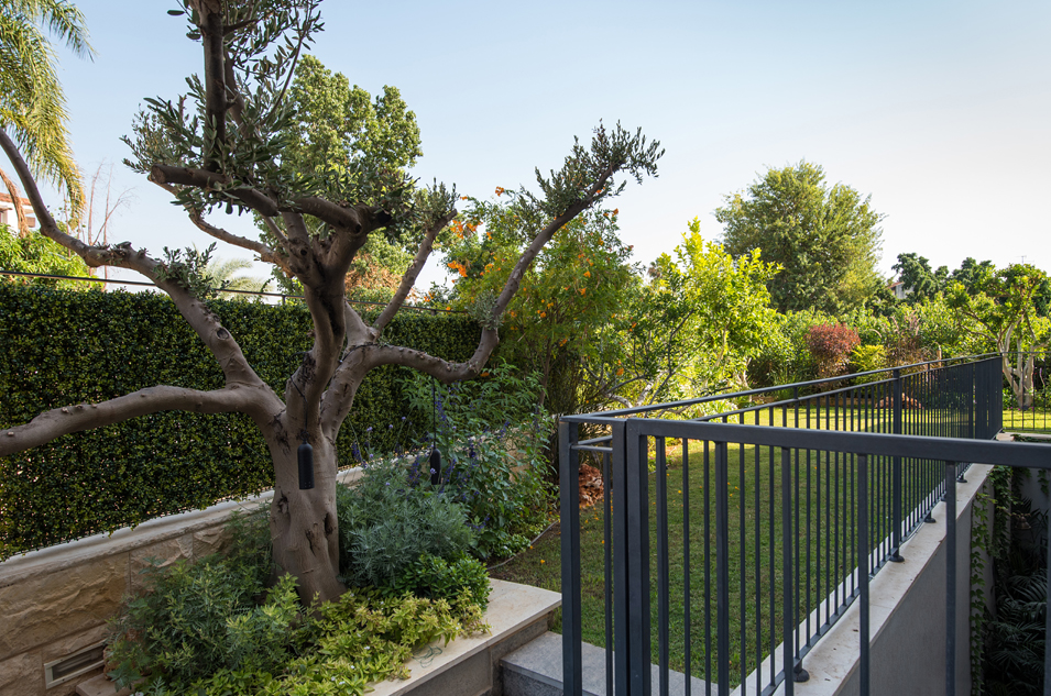 Elegant Yet Nonchalant - ליאת הדס